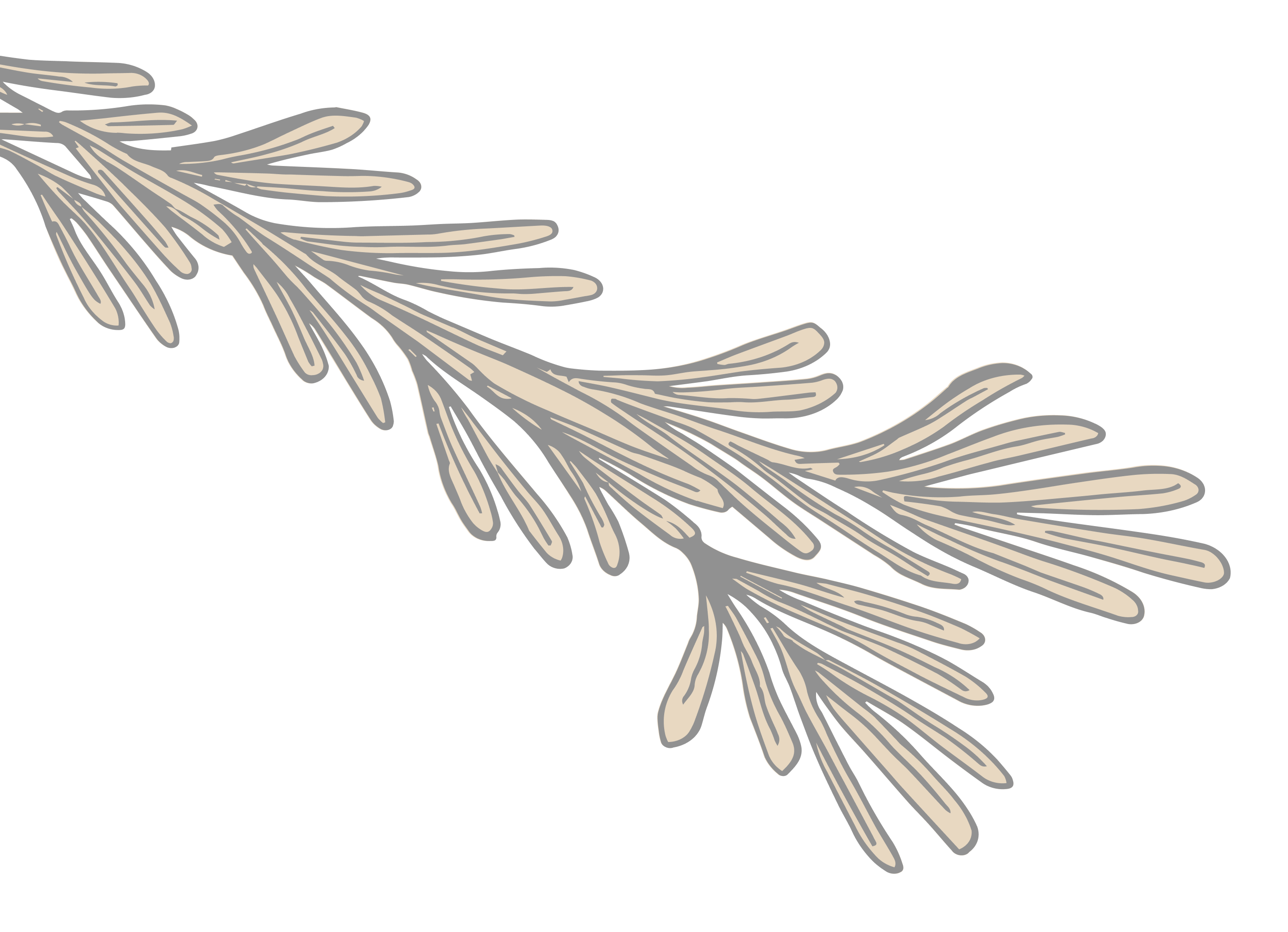 Bunga Rampai Company Profile