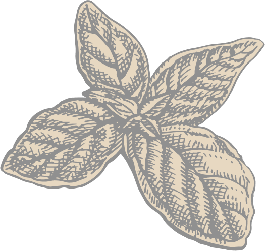 Bunga Rampai Company Profile